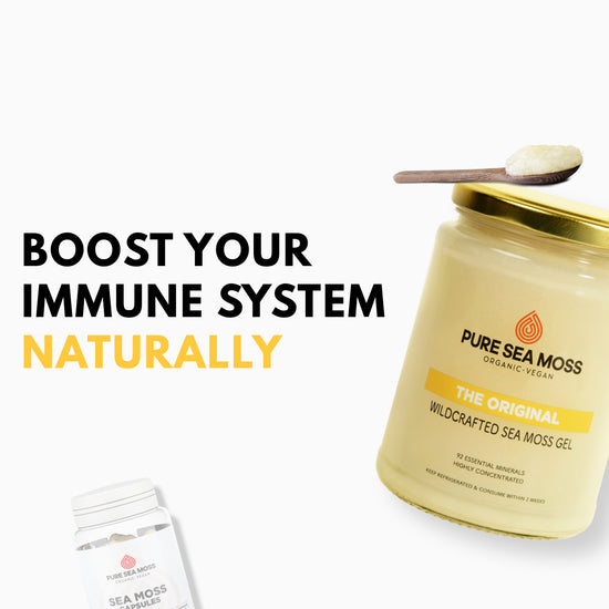 Pure Sea Moss UK - Organic Wildcrafted Sea Moss Gels